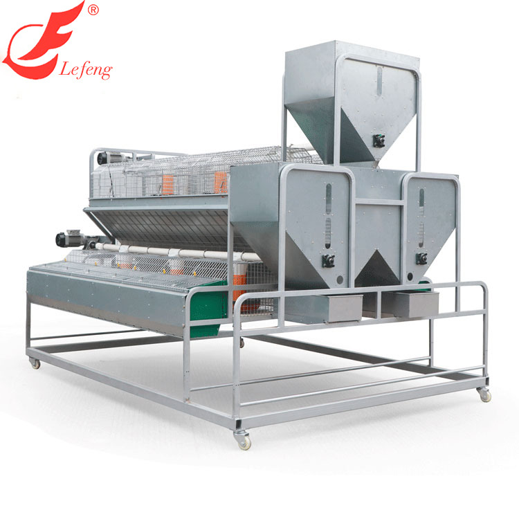 Sturdy Spacious lab animal cage for Varied Animals Local After-Sales ...